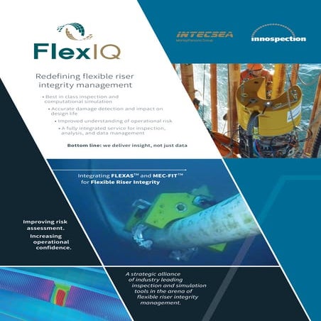 FlexIQ Flyer - INTECSEA and Innospection | PDF