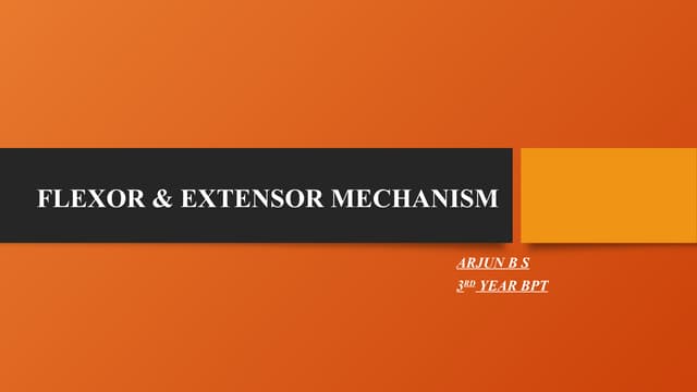 Extensor apparatus hand | PPT