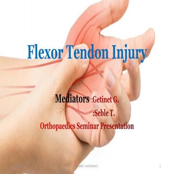 Flexor Tendon Injury SKY.pdf