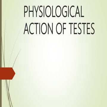 PHYSIOLOGICAL ACTION OF TESTES | PPT