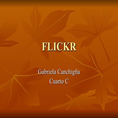 USO DE YOUTUBE Y FLICKR | PPTX