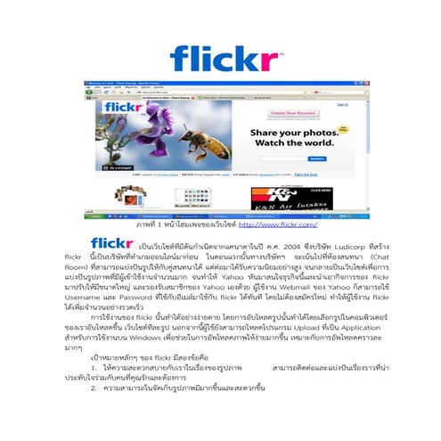 Flickr | PDF