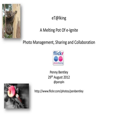 Flickr | PPTX