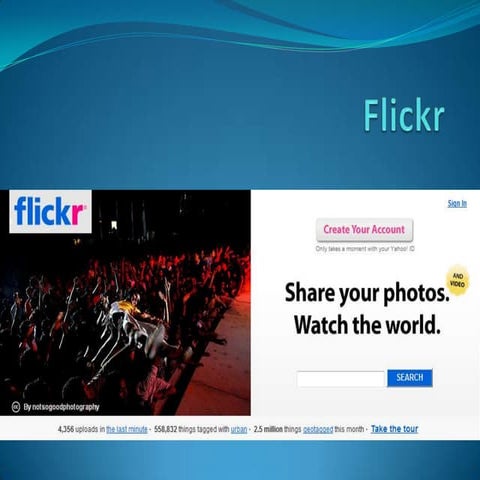 Flickr[1] | PPT