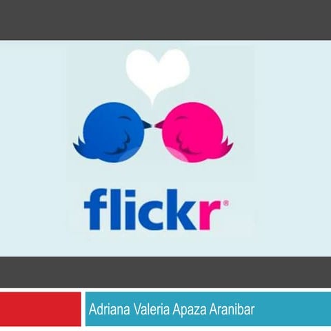 Flickr Danna Callata | PPTX