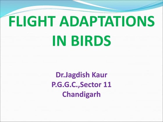 Flight adaptations in birds | PPTX | Birdwatching | Hobbies & Interests
