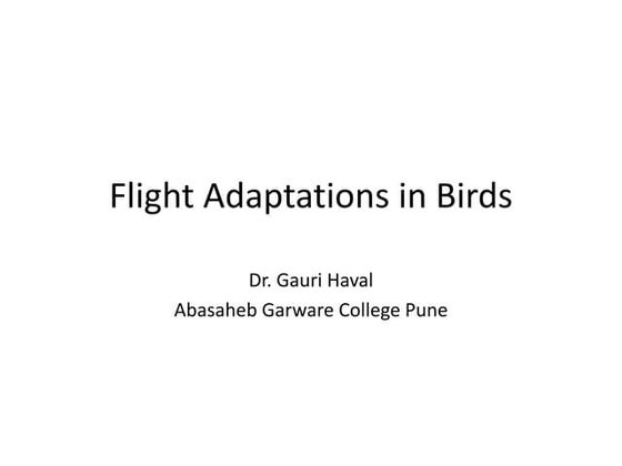 Flight Mechanism in Birds | PPT Flight Mechanism in Birds | PPT