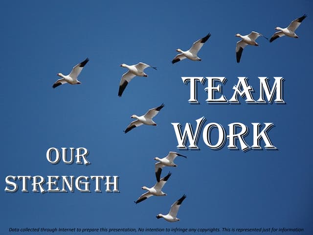 The Flight Of The Geese | PPT