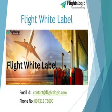 Flight White Label.pptx