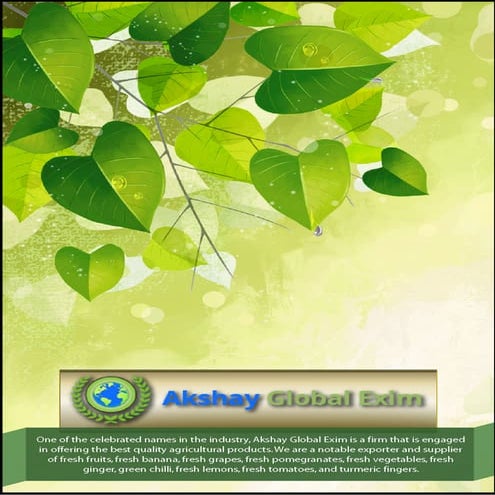 Turmeric Finger By Akshay Global Exim | PDF