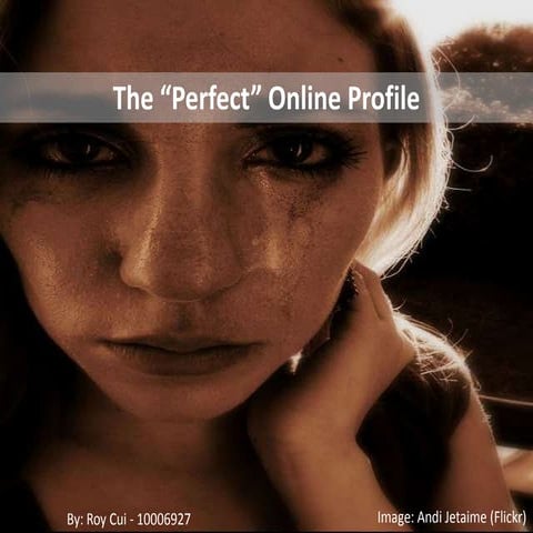 The Perfect Online Profile | PPT