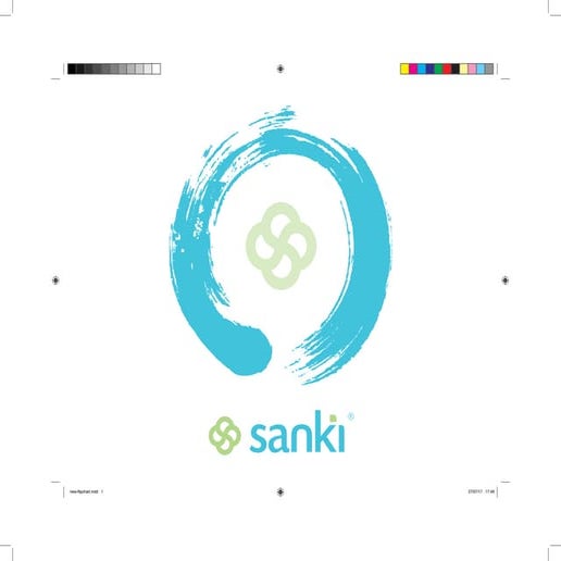 Sanki Flip Chart | PDF