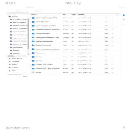 Flip drive my drive3 | PDF | Computing | Technology & Computing