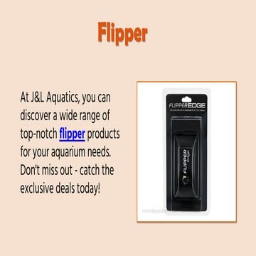 Flipper | PPTX