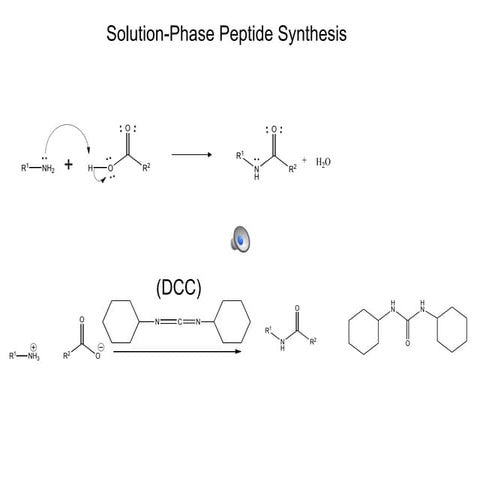 Solution And Solid Phase Synthesis Publication | PDF