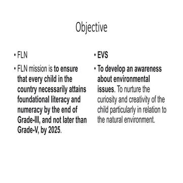 FLN EVS.pptx