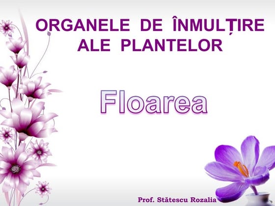 probleme-genetica- propuse spre rezolvare | PDF