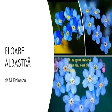 Floare albastră.pptx, material util pentru analiza poetica | PPTX