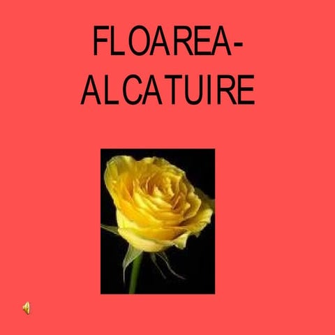 Floarea ppt | PPT