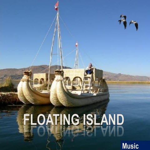 Floating Islands (Cmp) | PPS