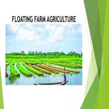 Floating farms | PPTX