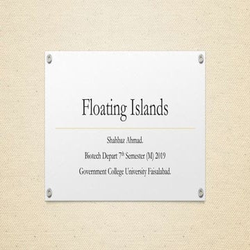 Floating islands | PPT