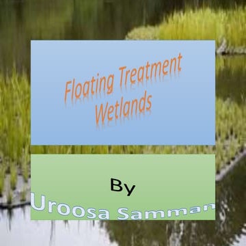 Floating treatment wetland | PPTX