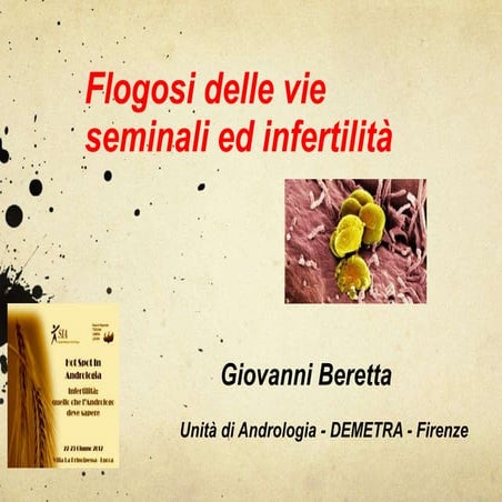Flogosi vie seminali infertilità 2 | PPTX