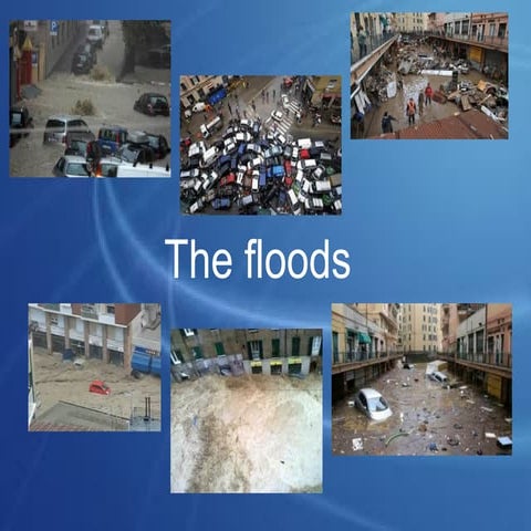 Flood | ODP