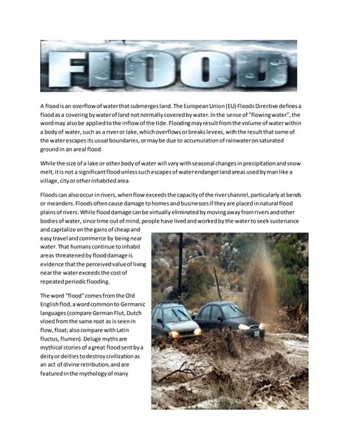 Disaster Management and Risk Reduction: The Flood | PPTX