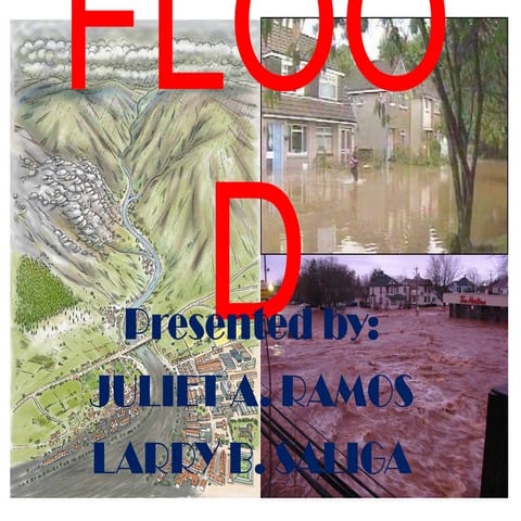Flood | PPT