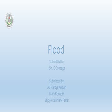 Disaster Management and Risk Reduction: The Flood | PPTX