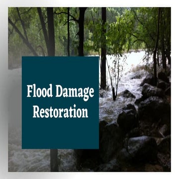 Flood Damage Restoration | PDF