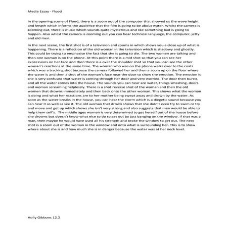 Flood Essay | DOCX