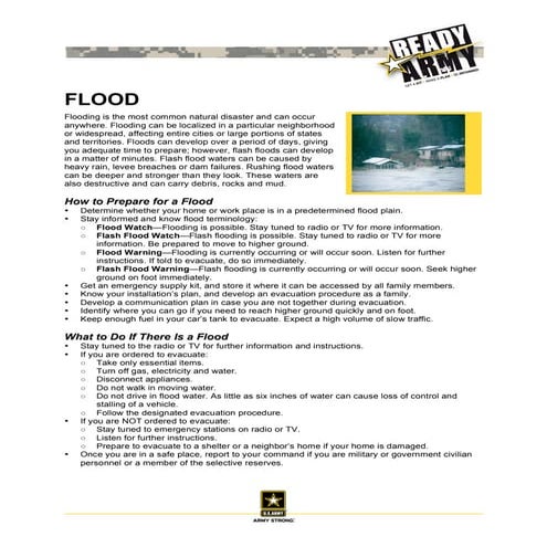 grade 3 Natural disaster | PPTX