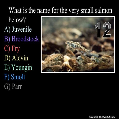 Flooding, Dams, Levee's PowerPoint Quiz Game | PPT