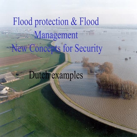 Flood Protection And Management Nl | PPT