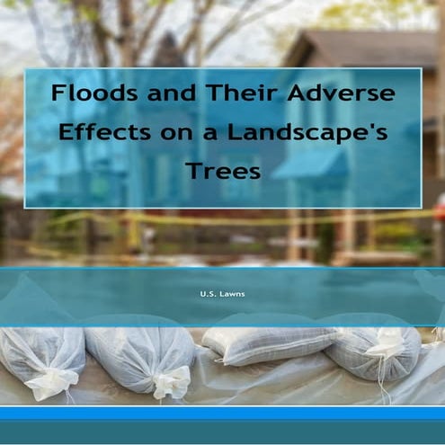 Floods and Their Adverse Effects on a Landscape's Trees | U.S. Lawns | PDF