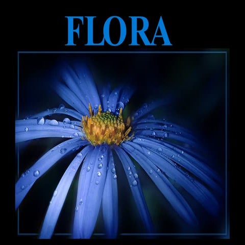 Flora | PPS