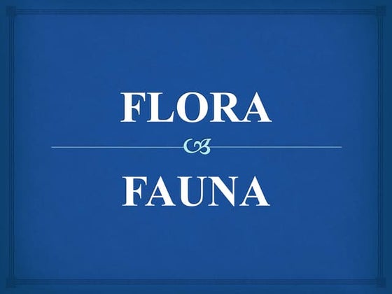 Water forms of the philippines | PPTX