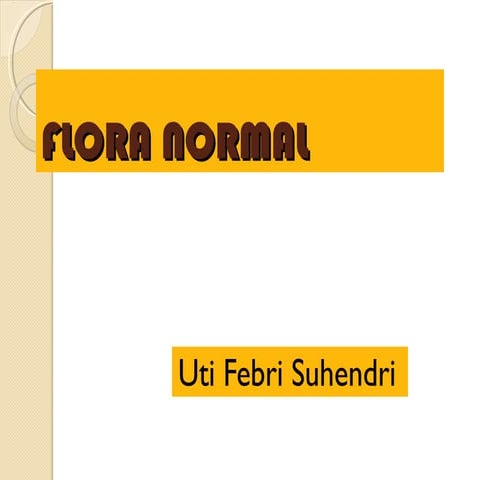 Flora normal-blok-2-2 | PPT