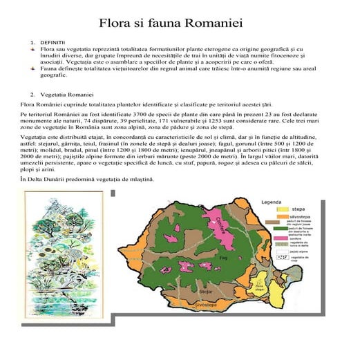 flora-si-fauna-romanieidocx.pdf