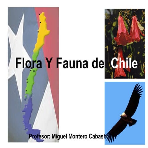 Flora Y Fauna De Chile | PPT