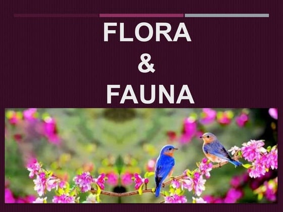 FLORA & FAUNA OF J&K.pptx