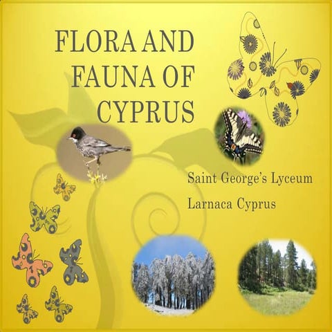 Flora and Fauna of Cyprus Eco Map | PPTX