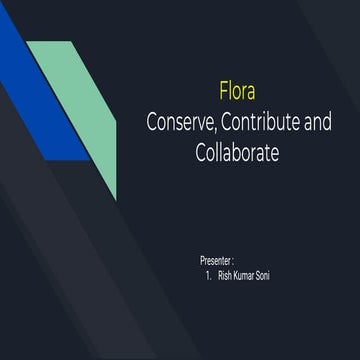 Flora app presentation | PPTX