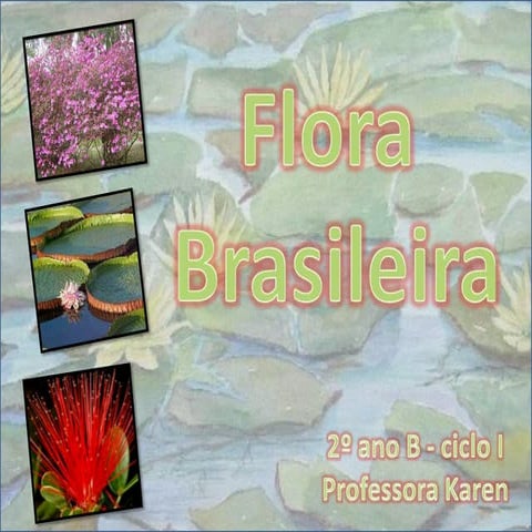 Flora brasileira | PPSX