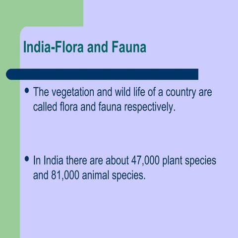 Flora & fauna | PPT