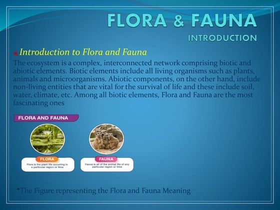 Flora and fauna | PPT | Gardening | Home & Garden