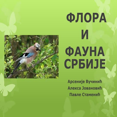 Reljef Srbije - by Djusa | PPTX